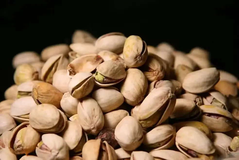 Ceará pode ser o 1º estado brasileiro a produzir pistache, fruta que ...